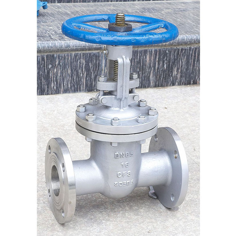 Stainless Steel Gate Valve - TIX International Group